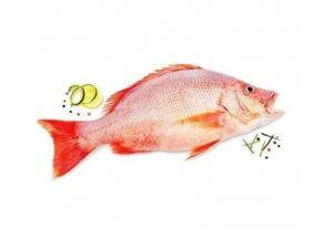 Aquaculture Company Middle East, Gulf, GCC, UAE